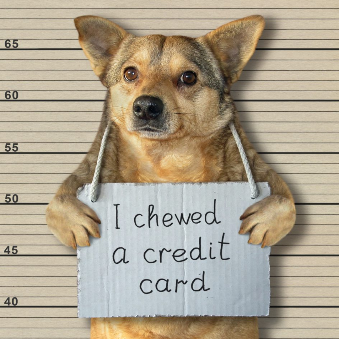 How to Update Your Credit Card – Quiltster Blog